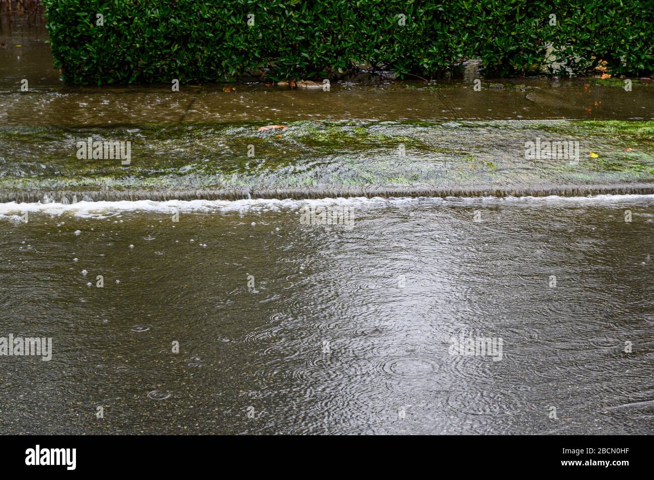 Heavy rain caused flooding over sidewalk, grass strip, and road Stock ...
