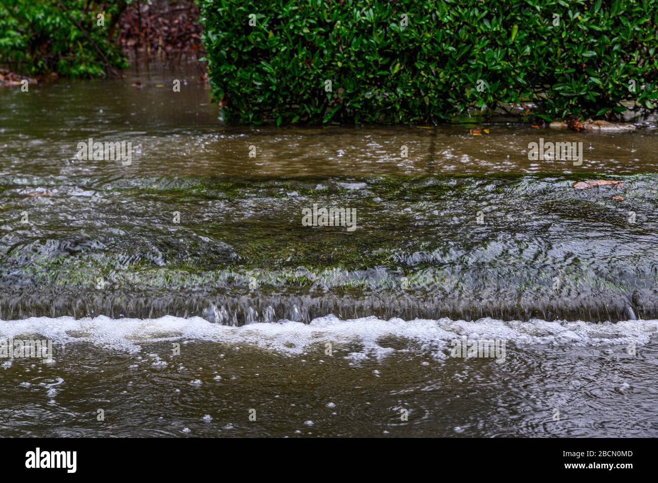 Heavy rain caused flooding over sidewalk, grass strip, and road Stock ...
