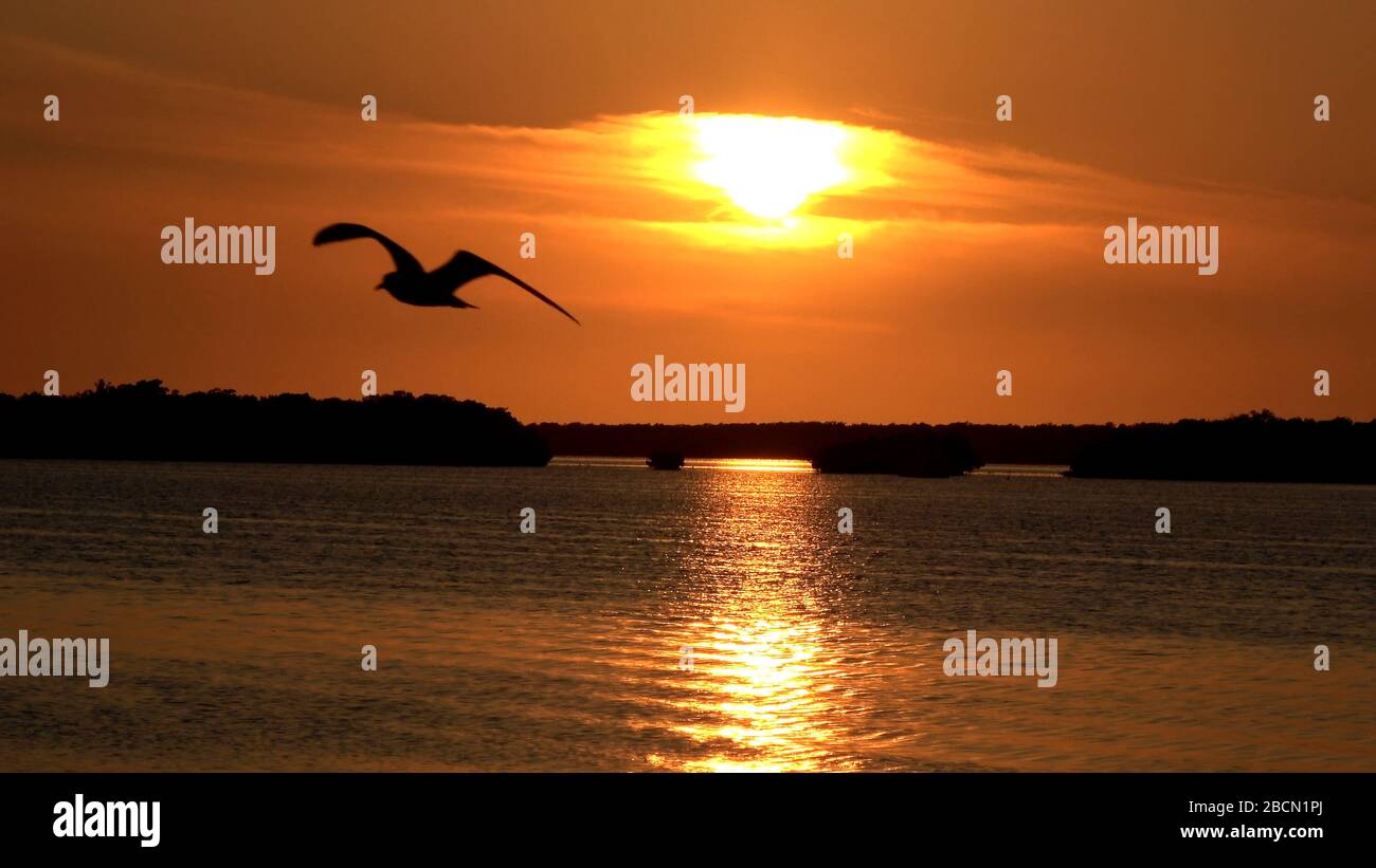 Amazing sunset in the Florida Keys - travel photography Stock Photo - Alamy