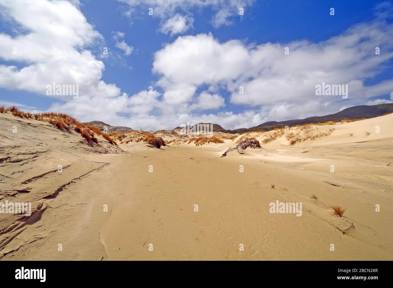 Sand Dunes on Mason Bay in Stewart Island of New Zealand Stock Photo ...
