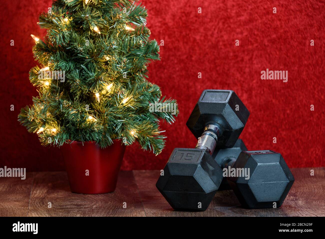 Holiday fitness, black dumbbells, artificial Christmas tree with white ...