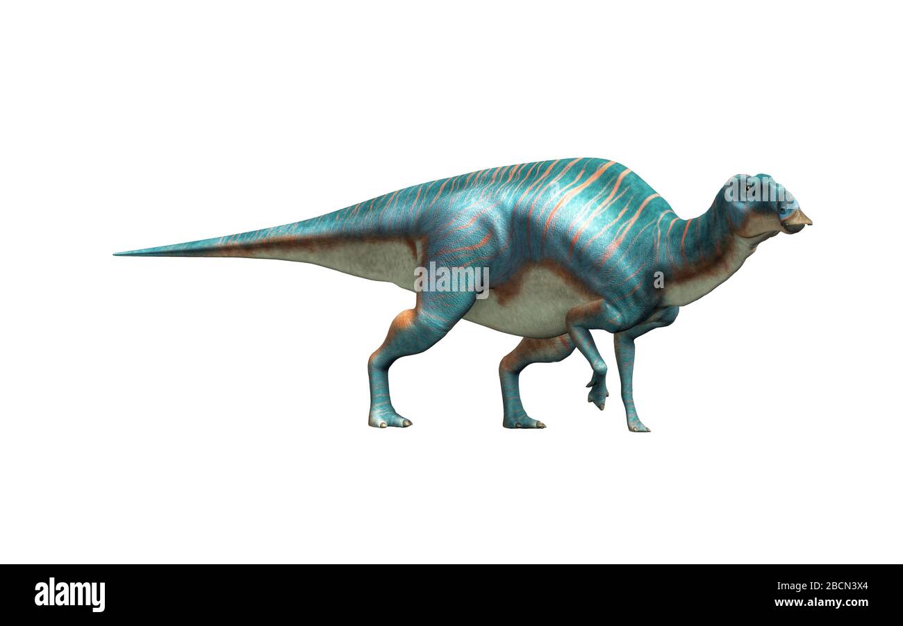 Maiasaura fossil Cut Out Stock Images & Pictures - Alamy