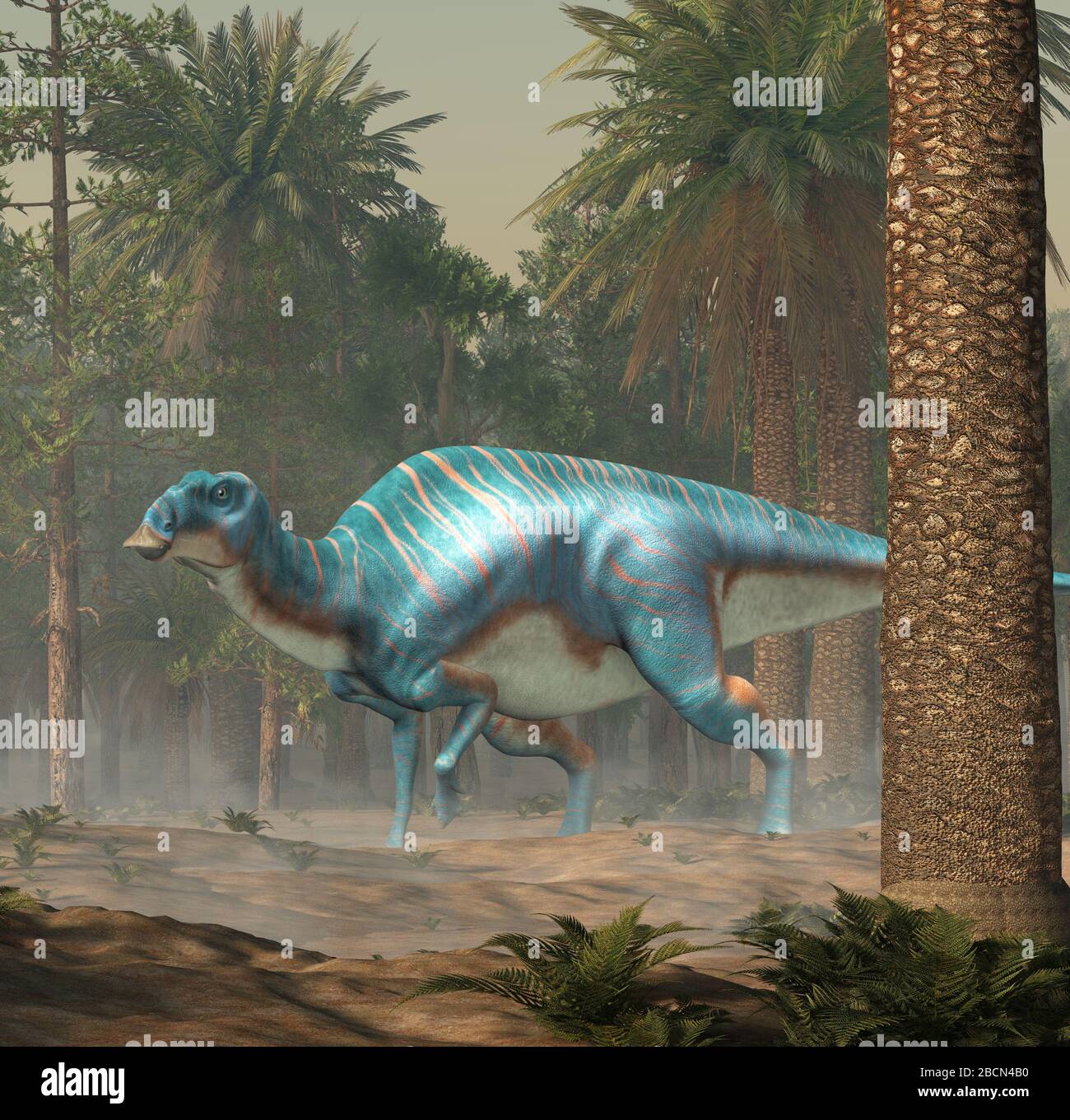 Maiasaura fossil hi-res stock photography and images - Alamy