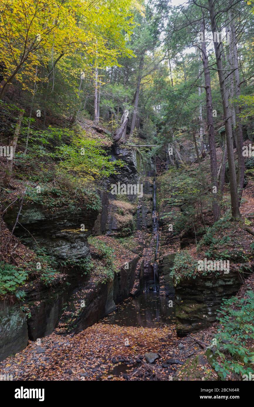 Delaware Township, Pike County, PA: Autumn foliage surrounds ...