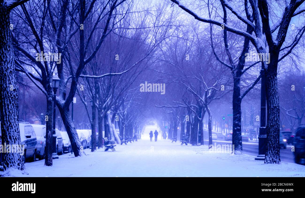 Snowy pathway hi-res stock photography and images - Alamy