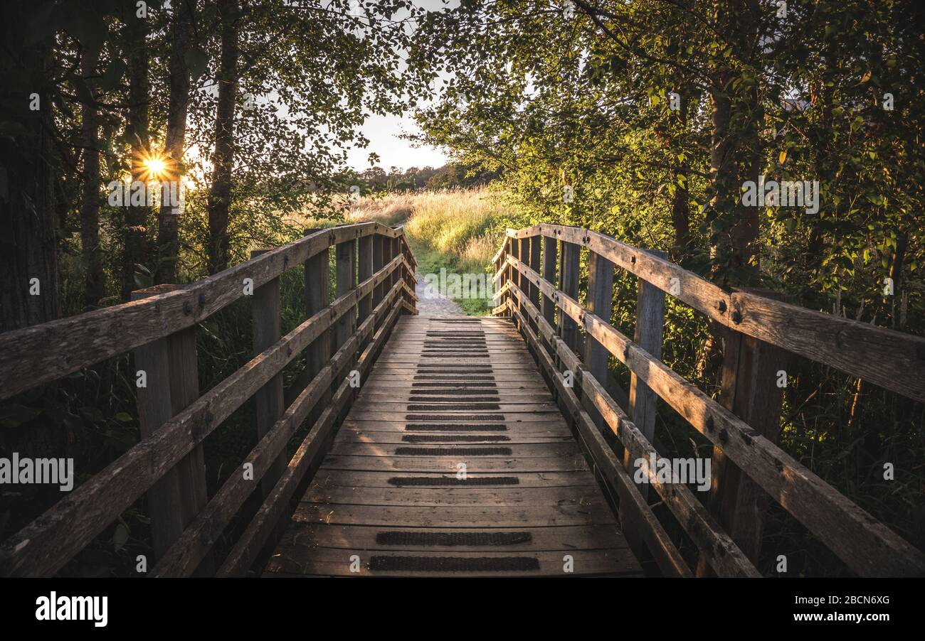 wooden bridge in beautiful park Stock Photo - Alamy