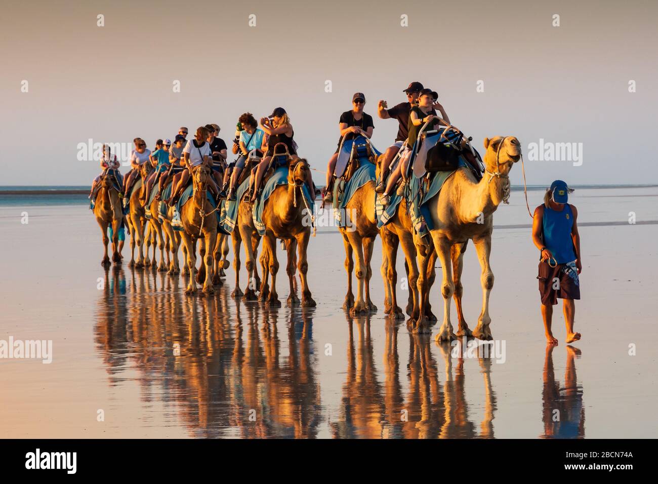Camel ride on the beach hi-res stock photography and images - Alamy