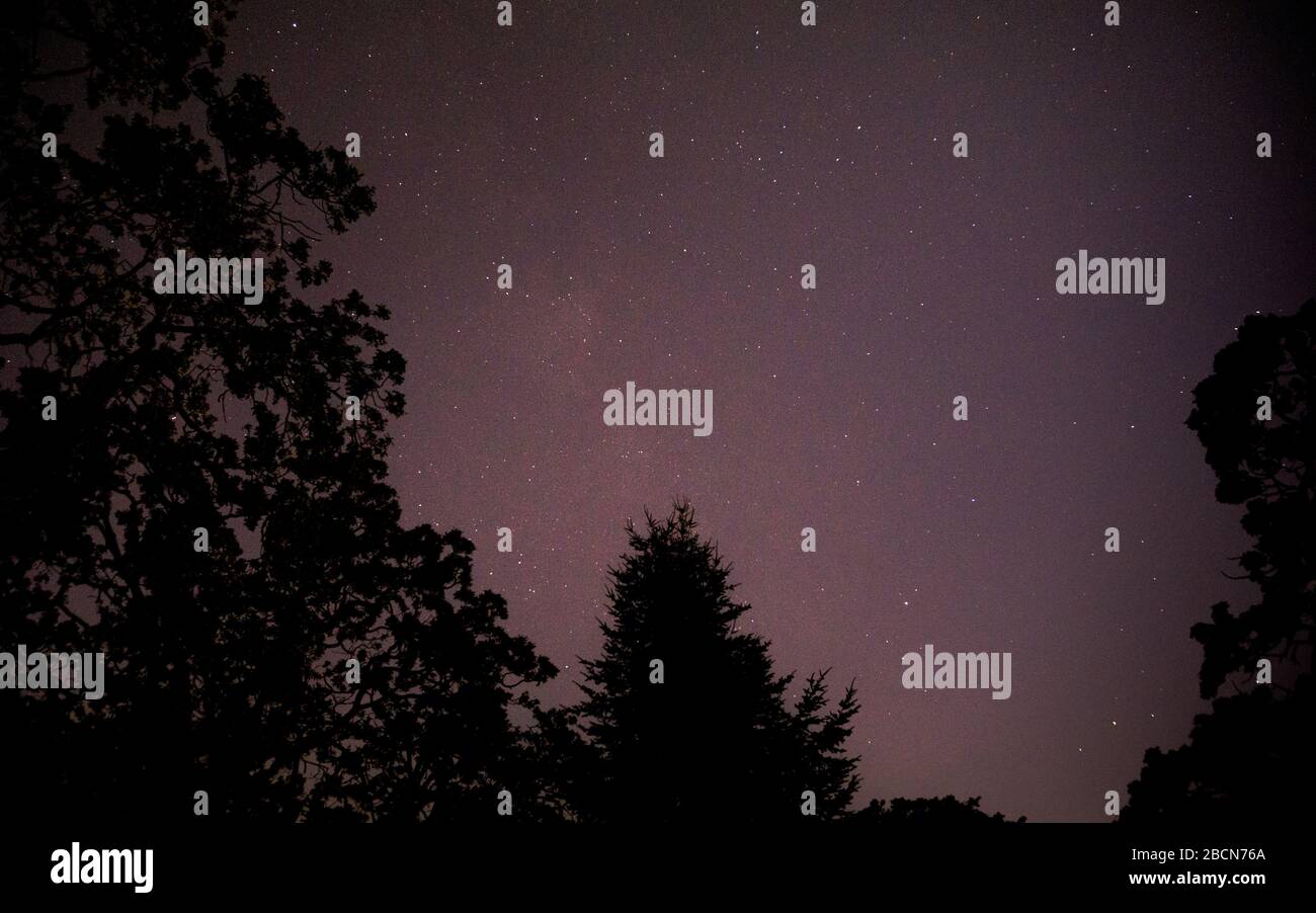 British columbia night sky stars hi-res stock photography and images ...