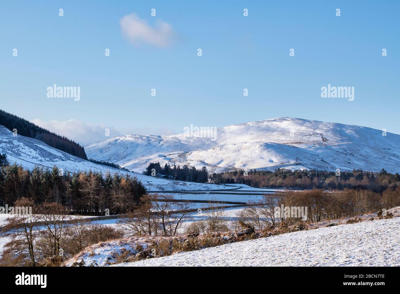 Snow covered countryside. Scottish borders. Scotland Stock Photo - Alamy