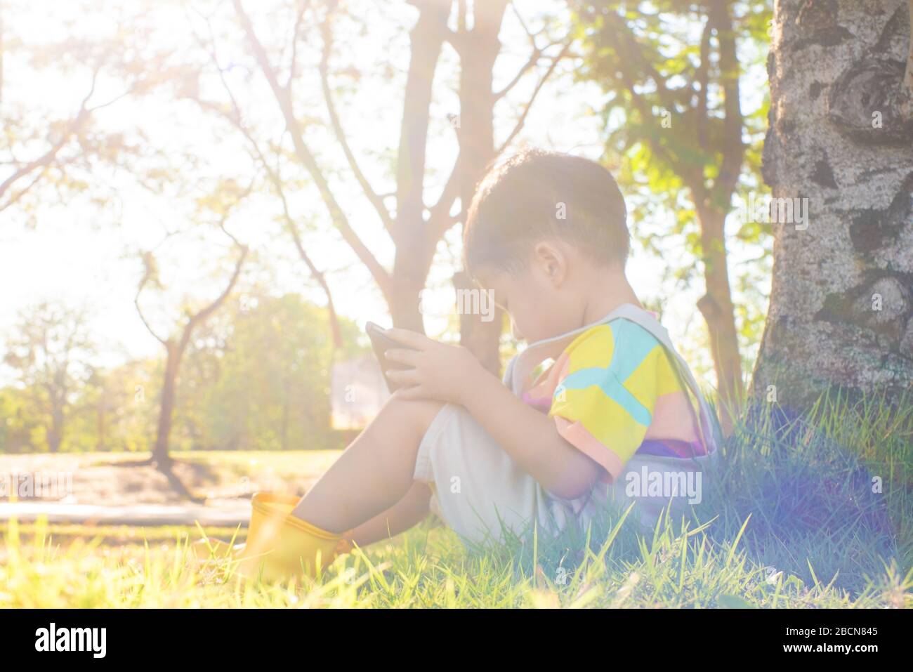 Boy Sitting Under Tree In High Resolution Stock Photography and Images ...