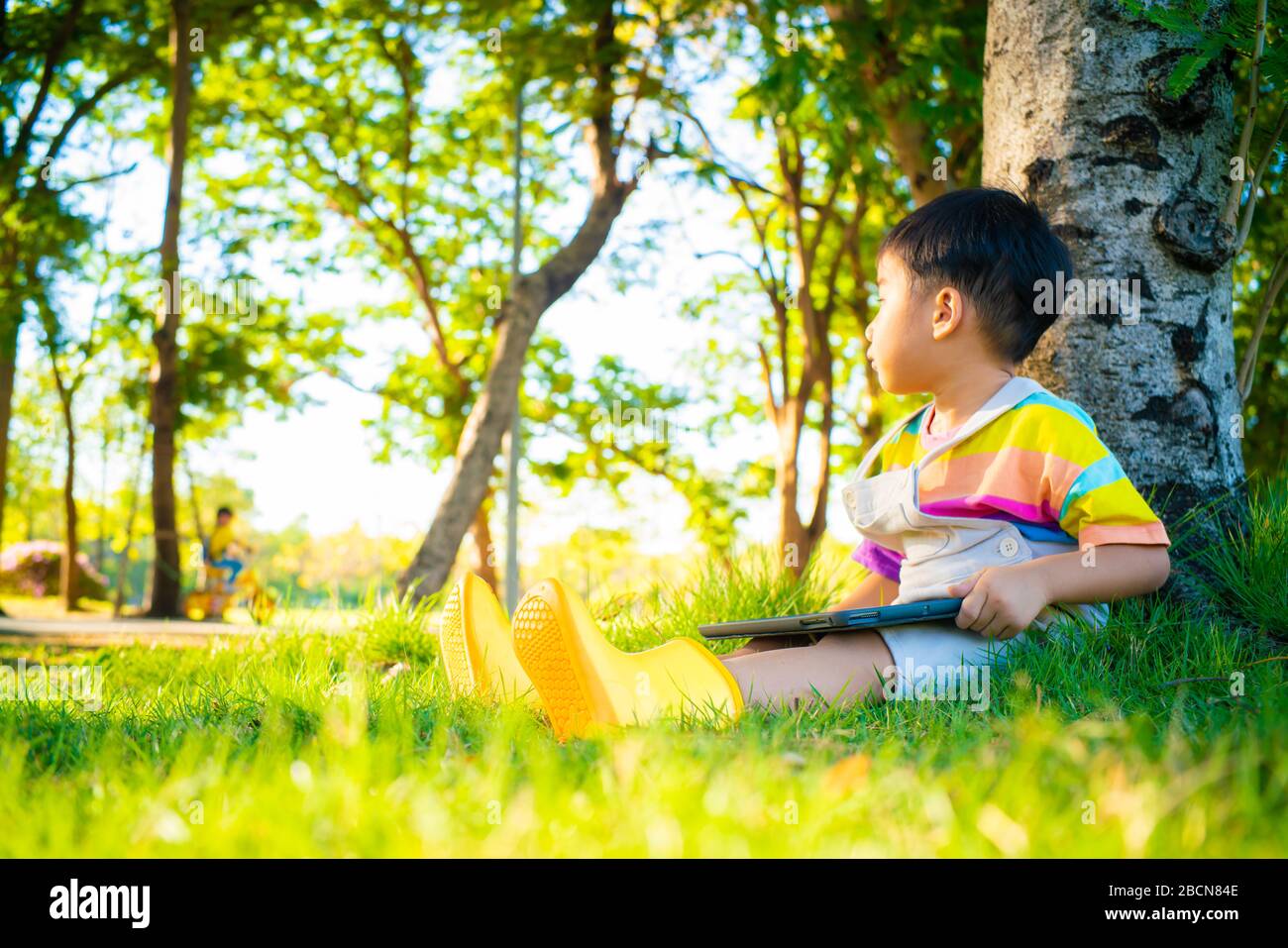 Boy Sitting Under Tree In High Resolution Stock Photography and Images ...