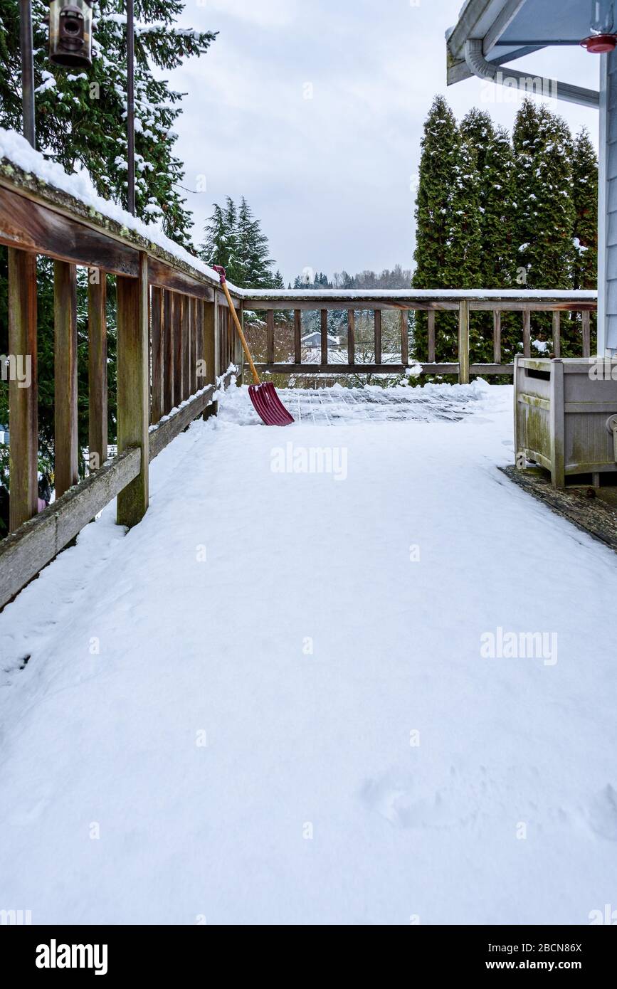 Fresh wet snow on a cedar deck, with snow shovel, view of snow-covered ...