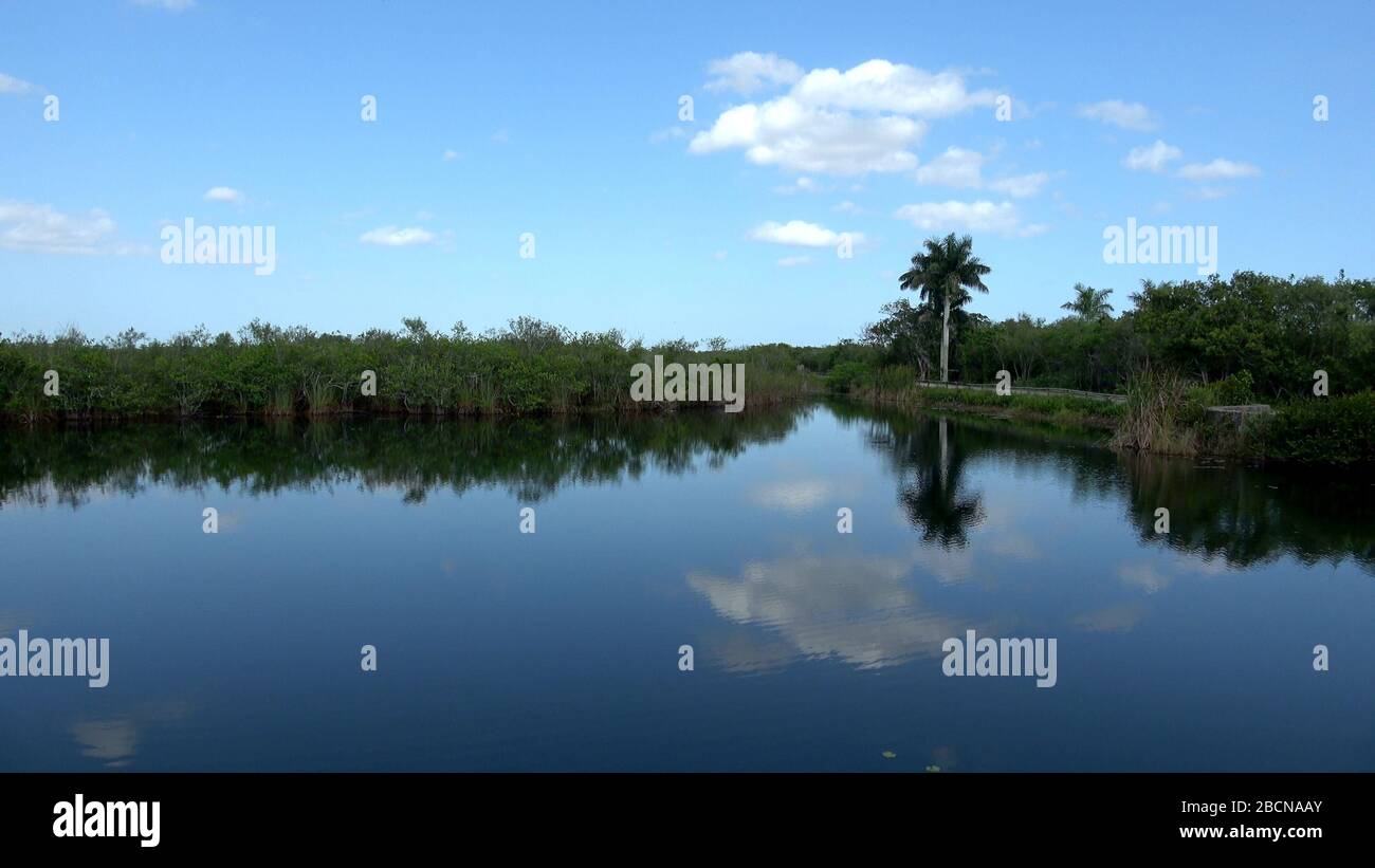 Romantic lake in the Everglades of South USA Stock Photo - Alamy