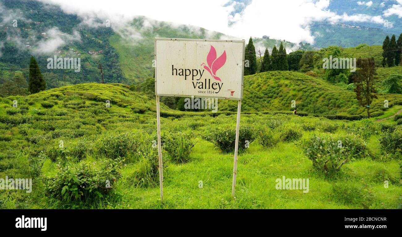 Darjeeling is a city and a municipality in the Indian state of West ...