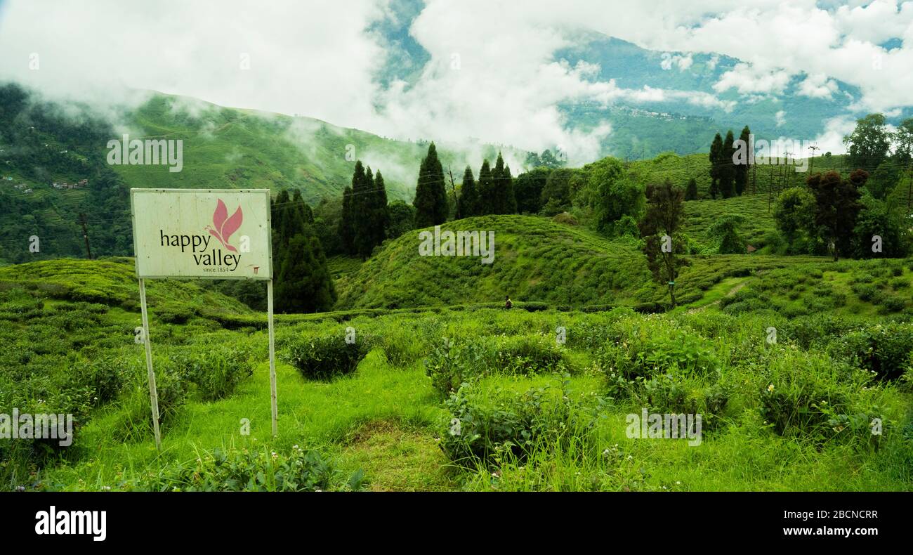 Darjeeling is a city and a municipality in the Indian state of West ...