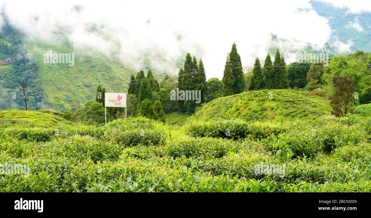 Darjeeling is a city and a municipality in the Indian state of West ...