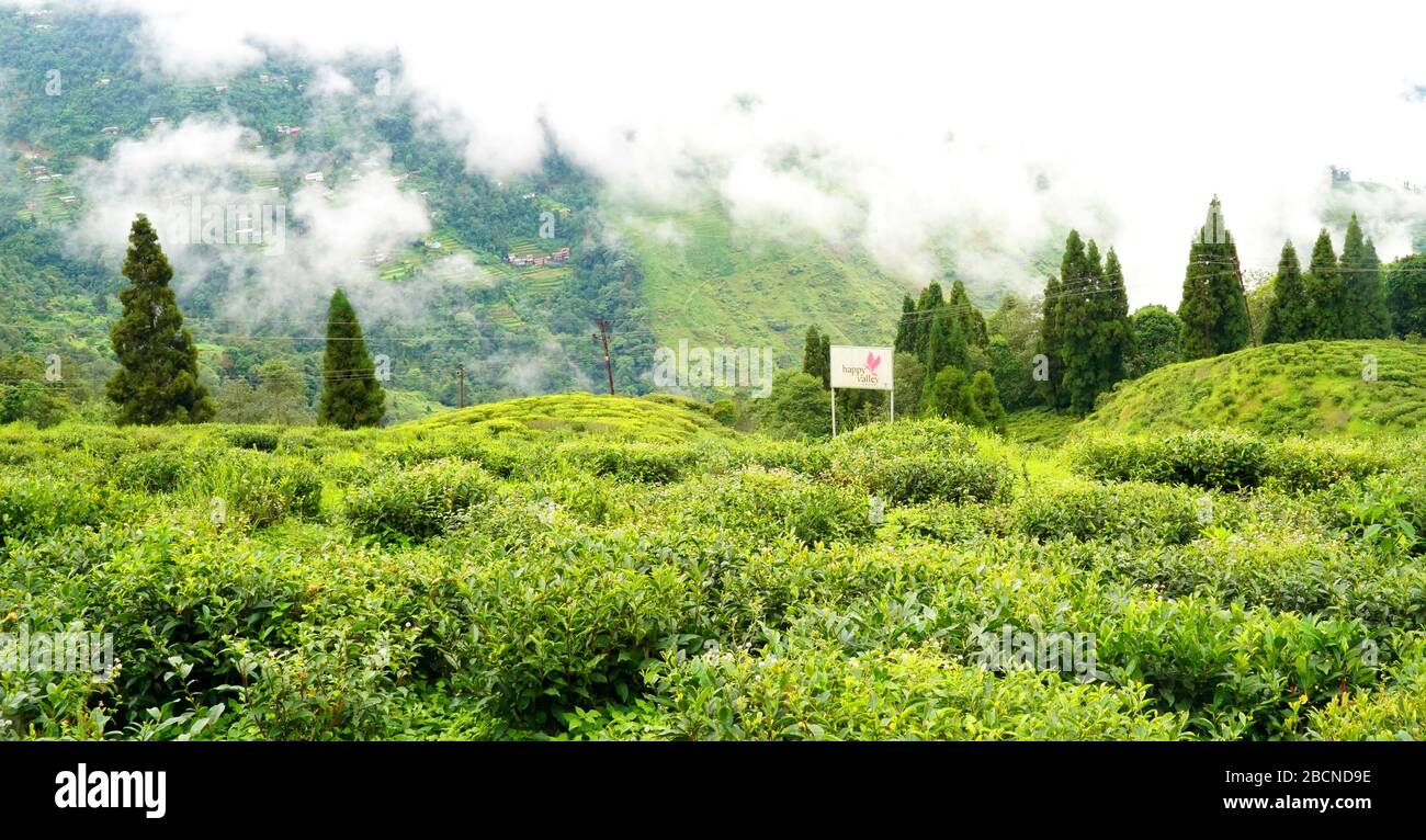 Darjeeling is a city and a municipality in the Indian state of West ...