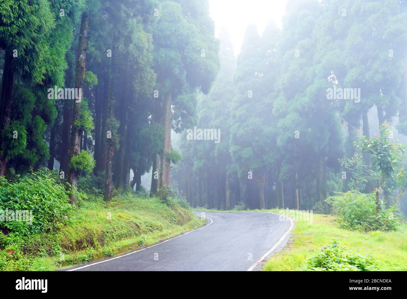 Darjeeling is a city and a municipality in the Indian state of West ...