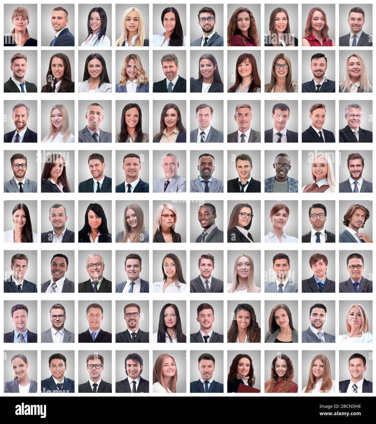 portraits of a group of successful employees isolated on white Stock ...