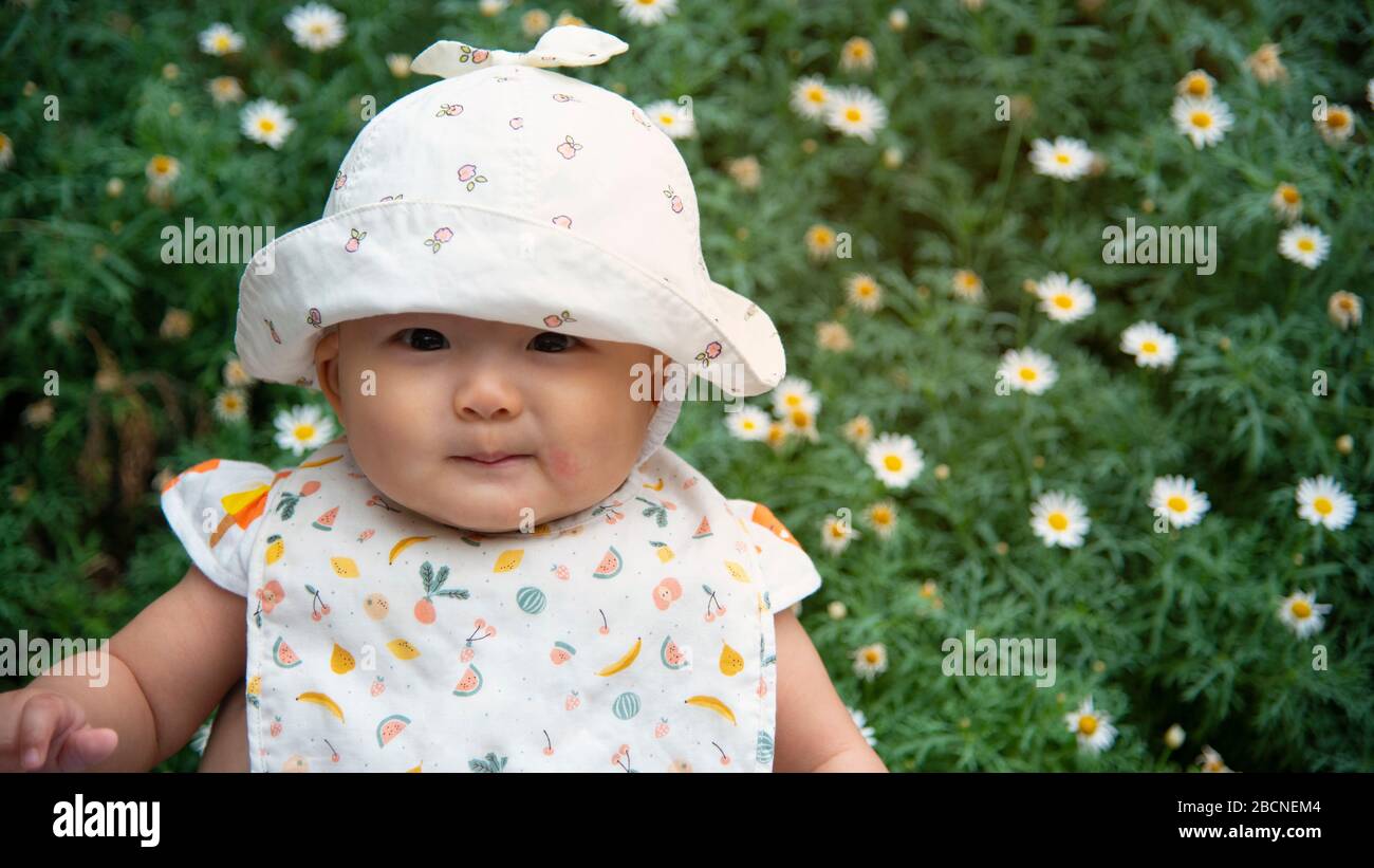 Cute Fat Asian Baby