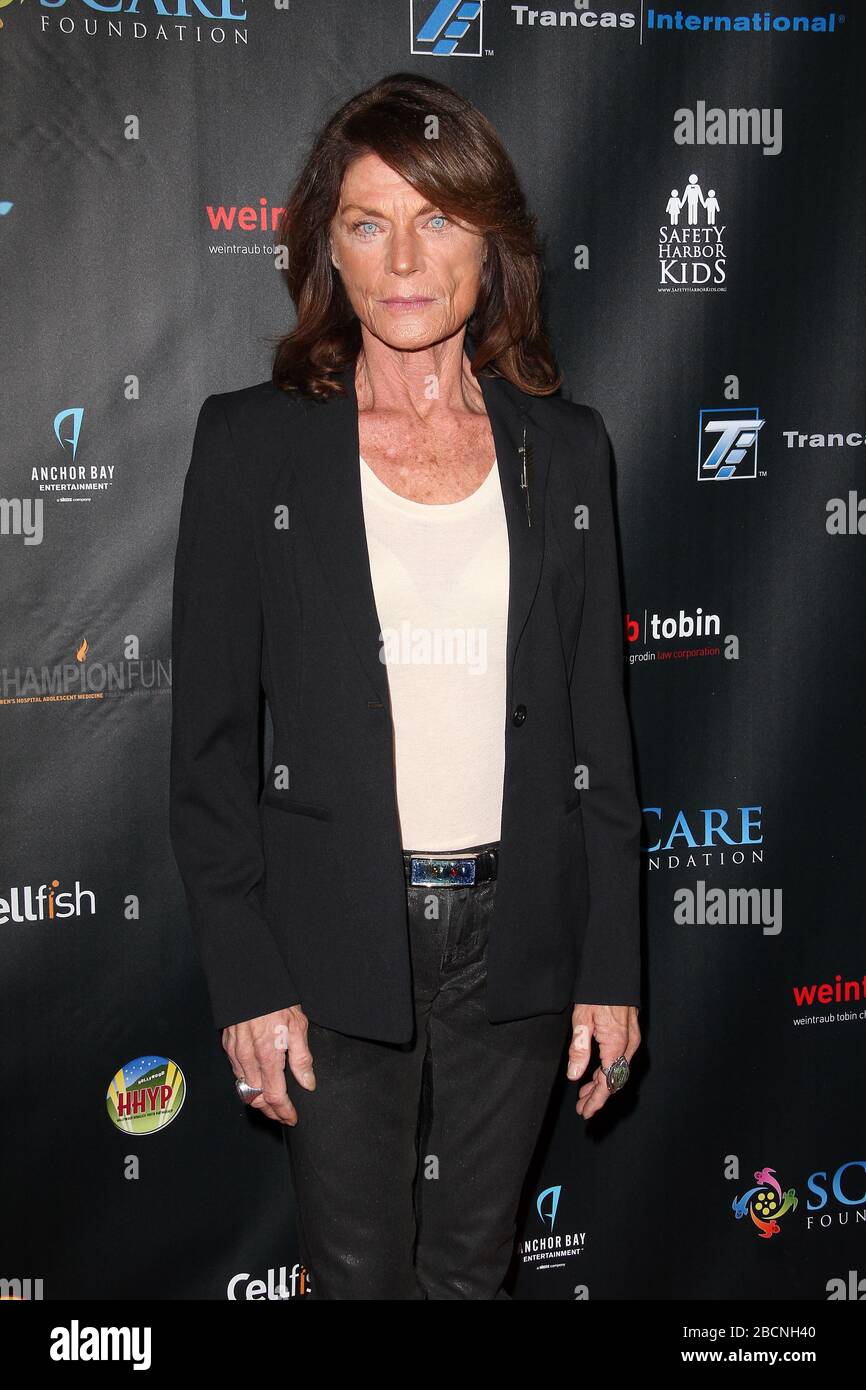 Meg Foster Cambridge