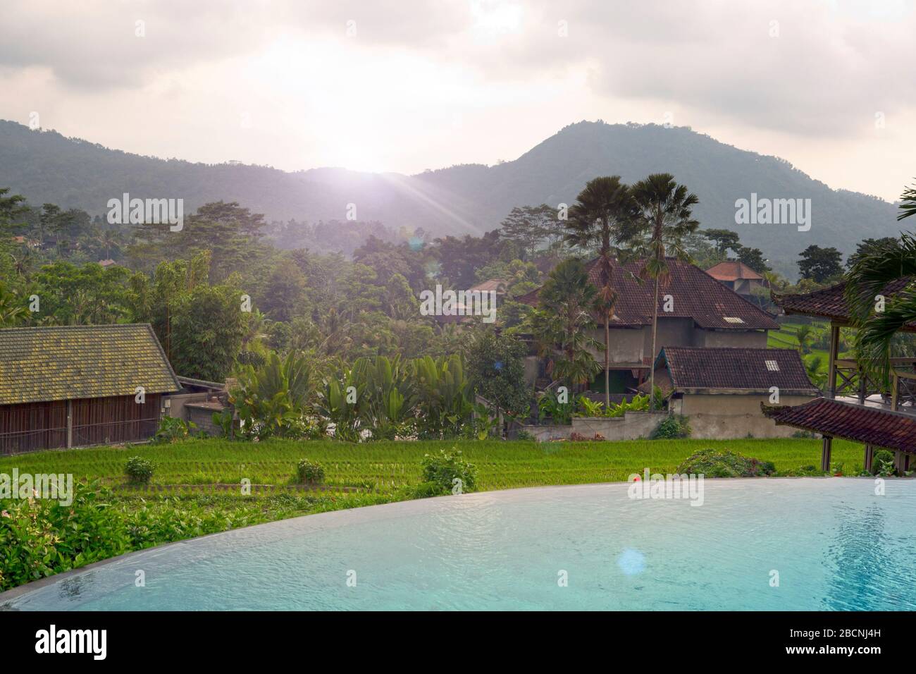 Mountains on the horizon, rice fields with huts and a small pool ...