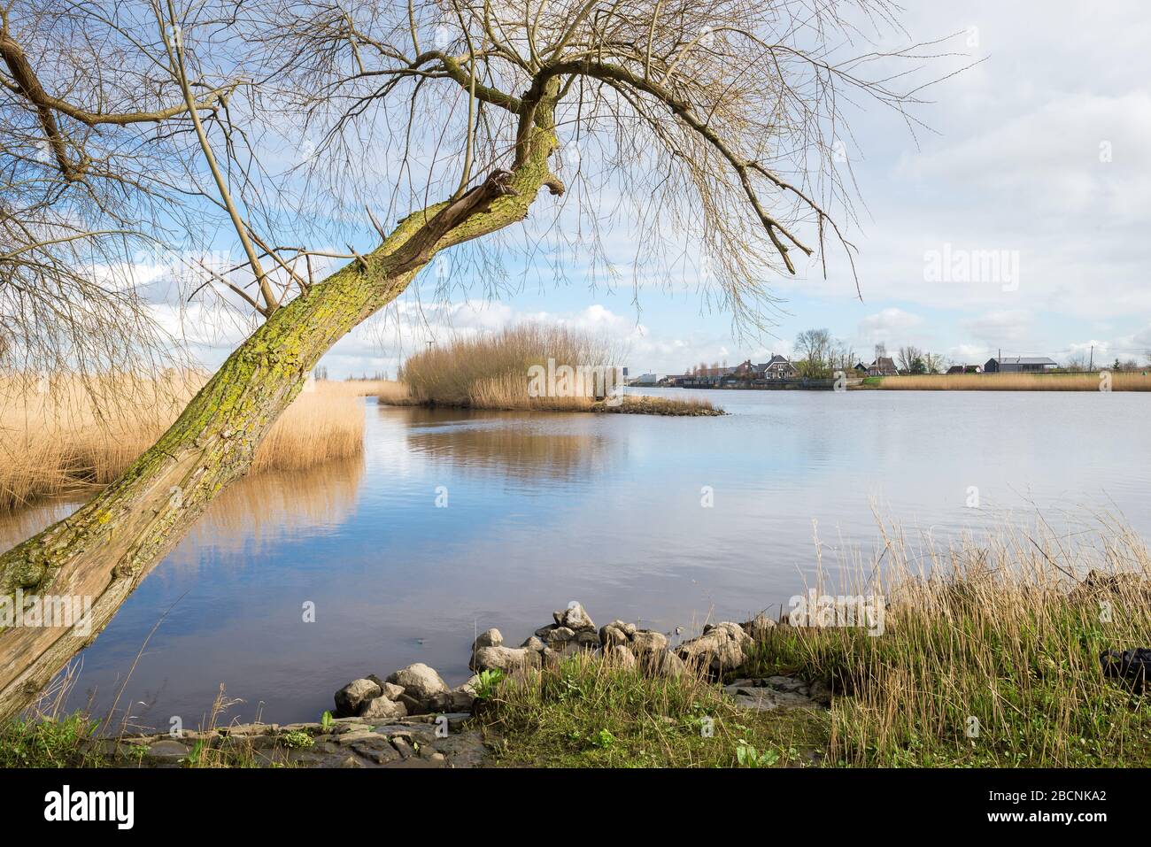 Scenic view of river "Hollandsche IJssel" between the cities of ...