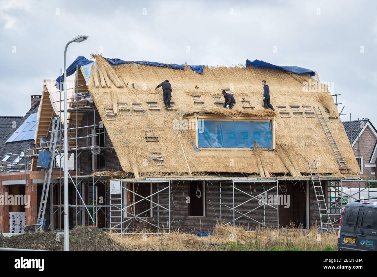 Roofers cover the roof of a house with thatch in a Dutch new housing ...