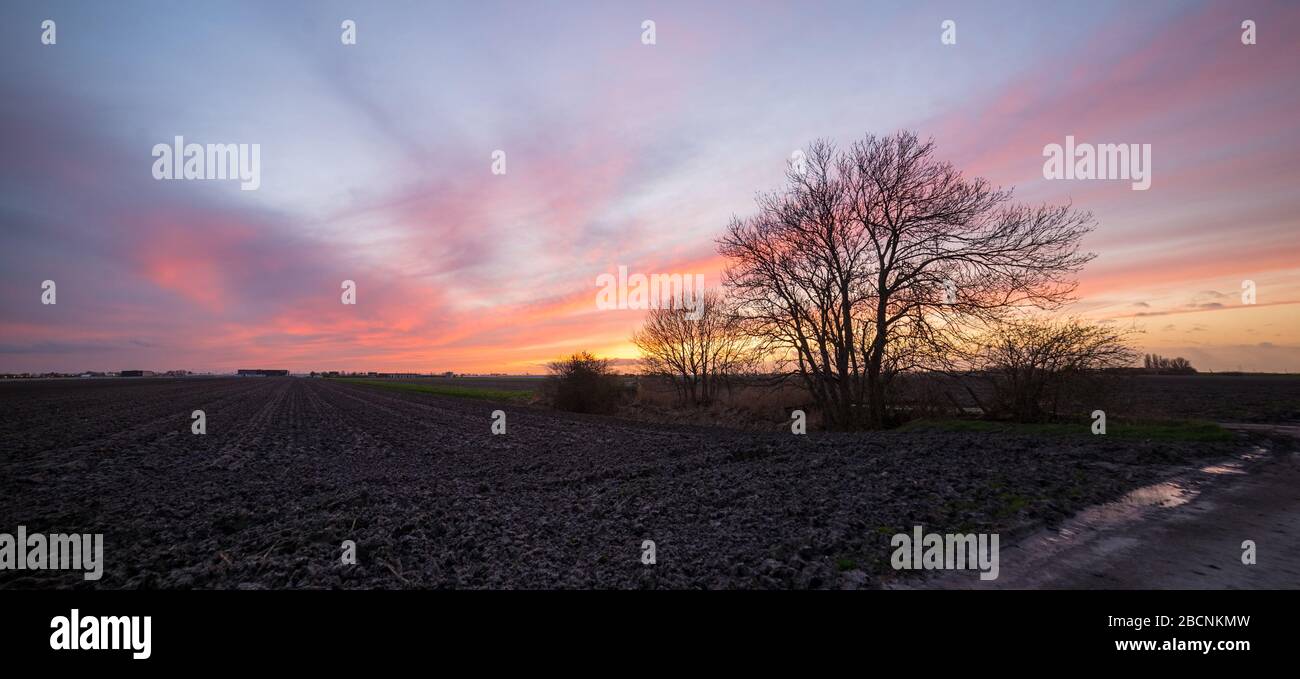 Plain colors hi-res stock photography and images - Alamy