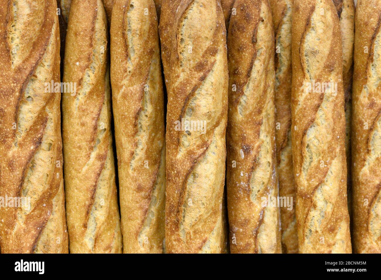 French Tradition Baguette - France Stock Photo - Alamy