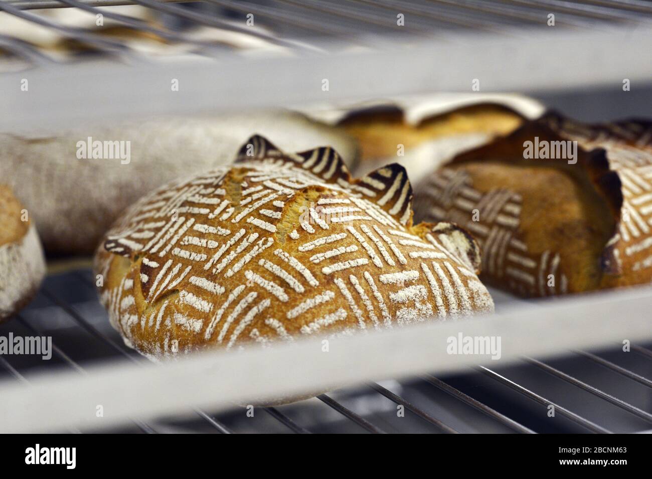 French bread tradition - France Stock Photo - Alamy