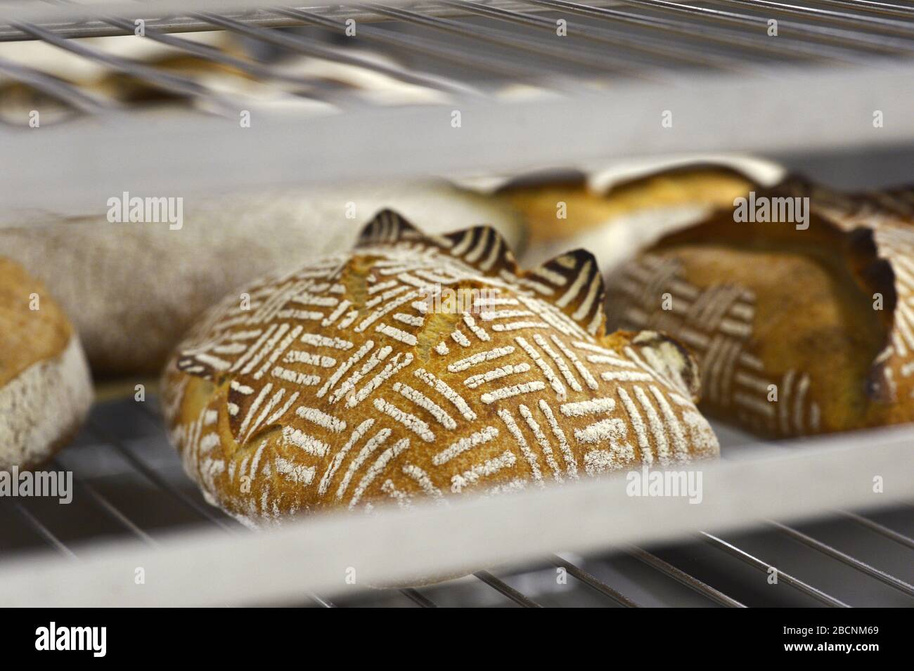 French bread tradition - France Stock Photo - Alamy