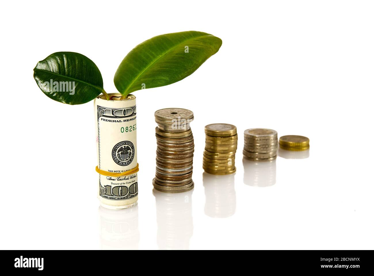 money tree growing. economic downturn. concept of investment growth ...