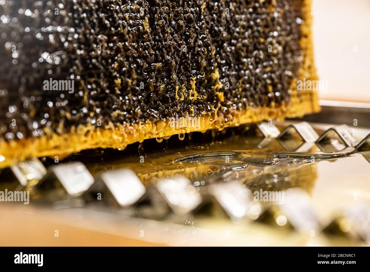 Glossy yellow golden honey comb reflection mirror sweet honey drips ...