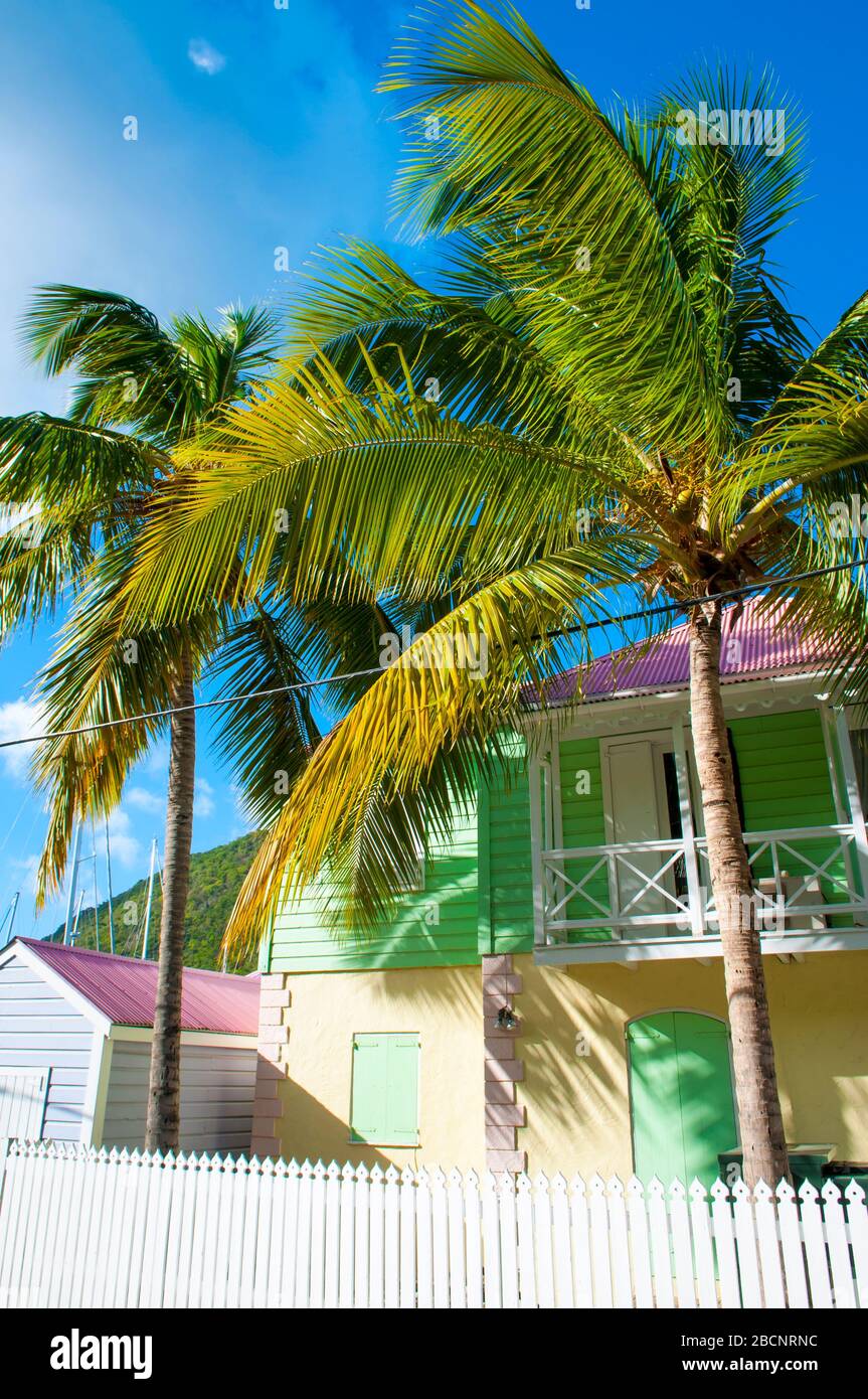 Bright sunny view of colorful West Indian beach shack shaded by tall ...