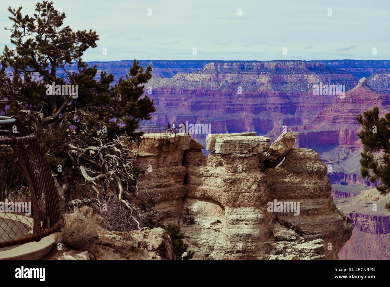 Colorado river grand canyon purple hi-res stock photography and images ...