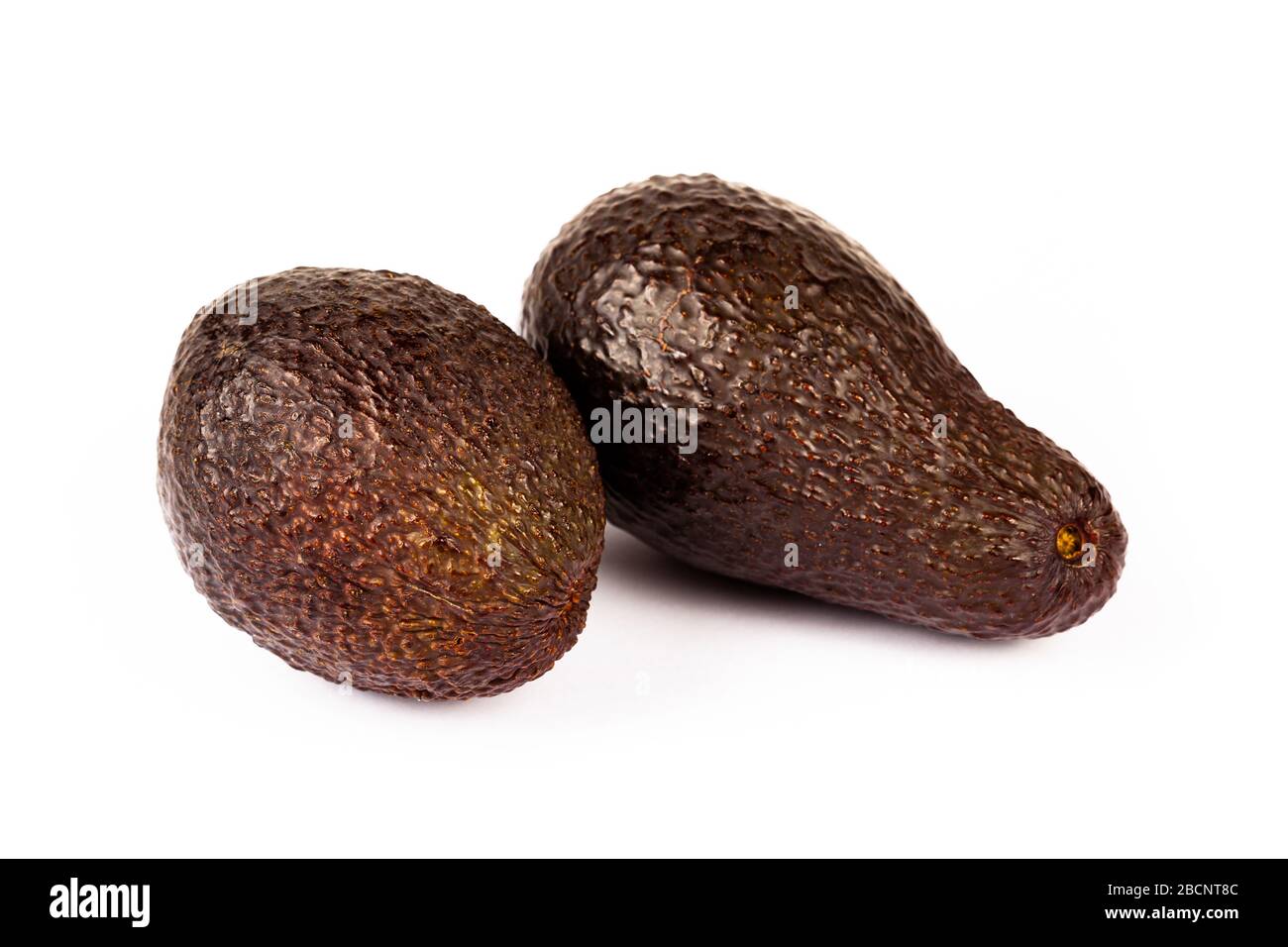 A simple pair of fresh ripe avocado. Two whole full round unpeeled ...