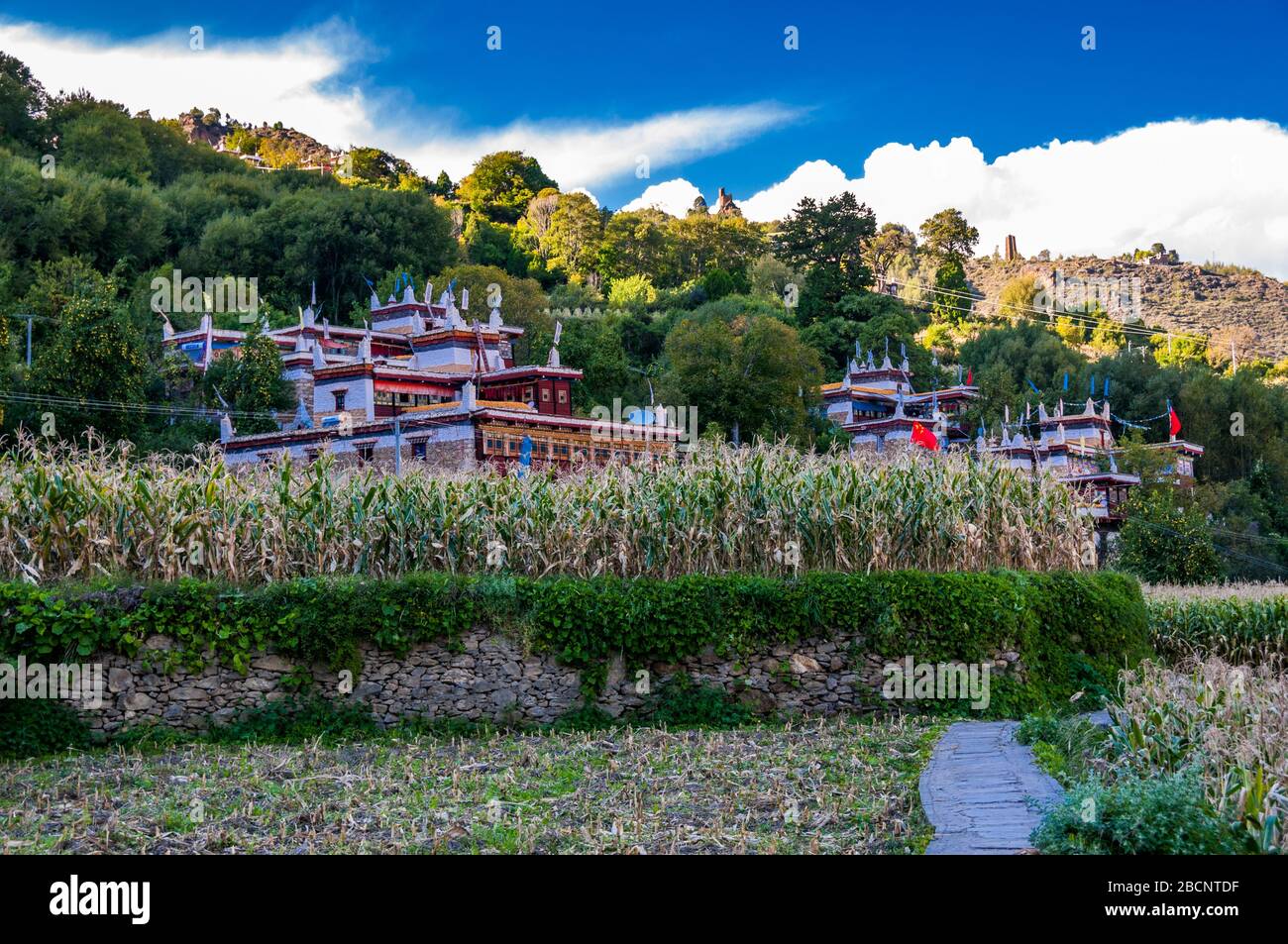 Corn fields in Jiaju Zangzhai one of China's prettiest villages, Danba ...