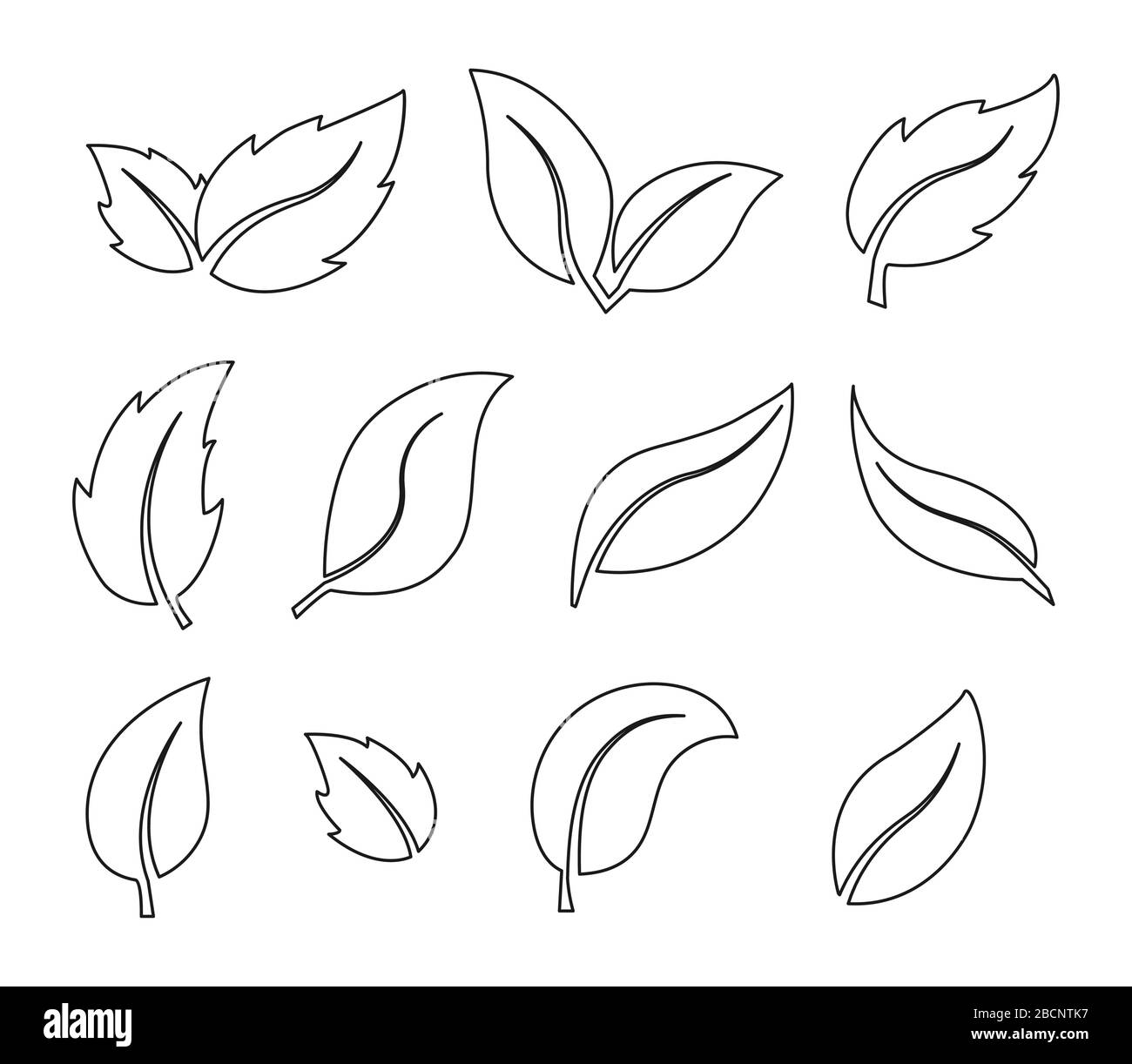 Vector set of plant leaves, thin line, empty outline isolated on white ...