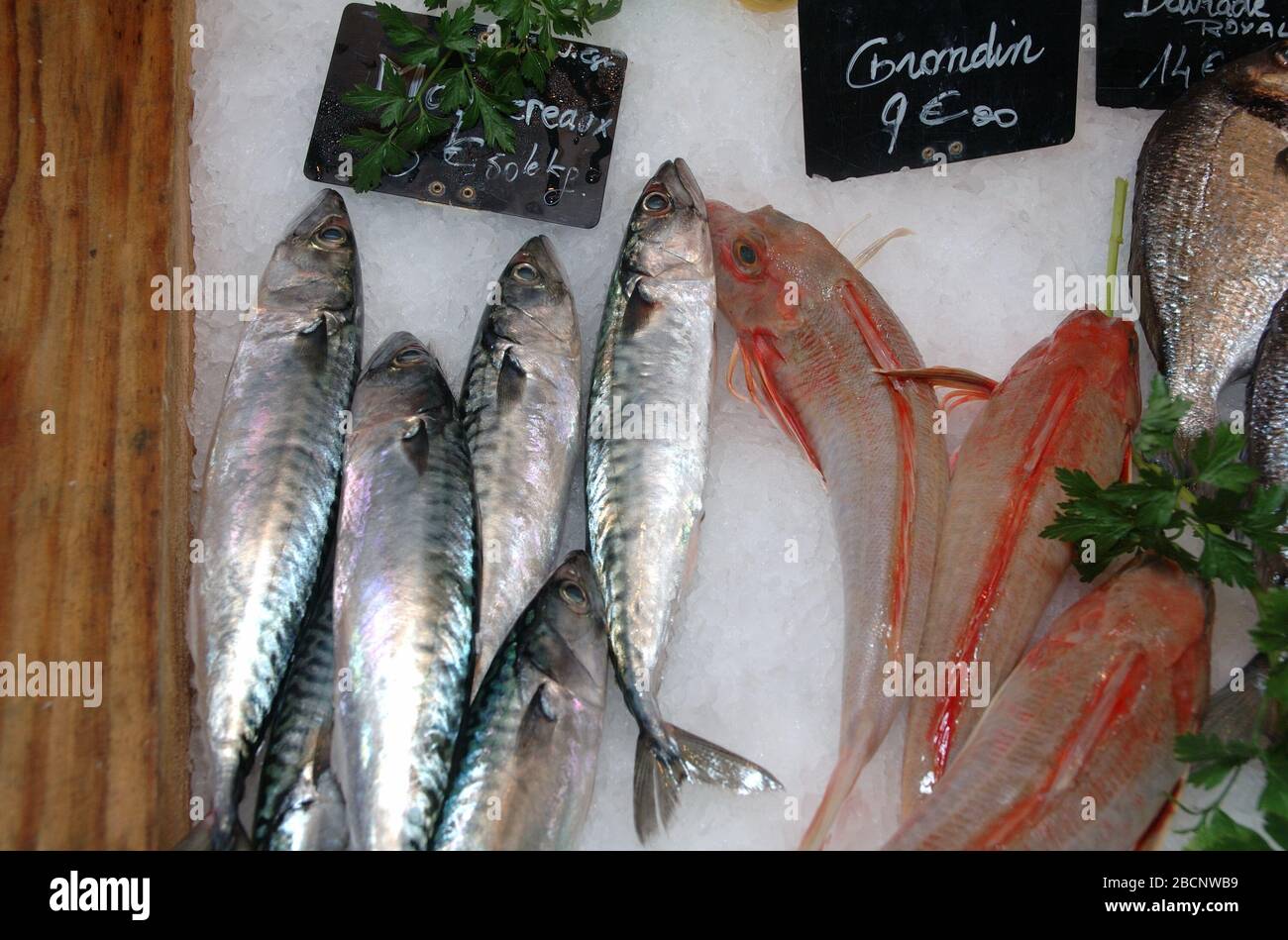 Fish Shop in Britany in France Stock Photo - Alamy