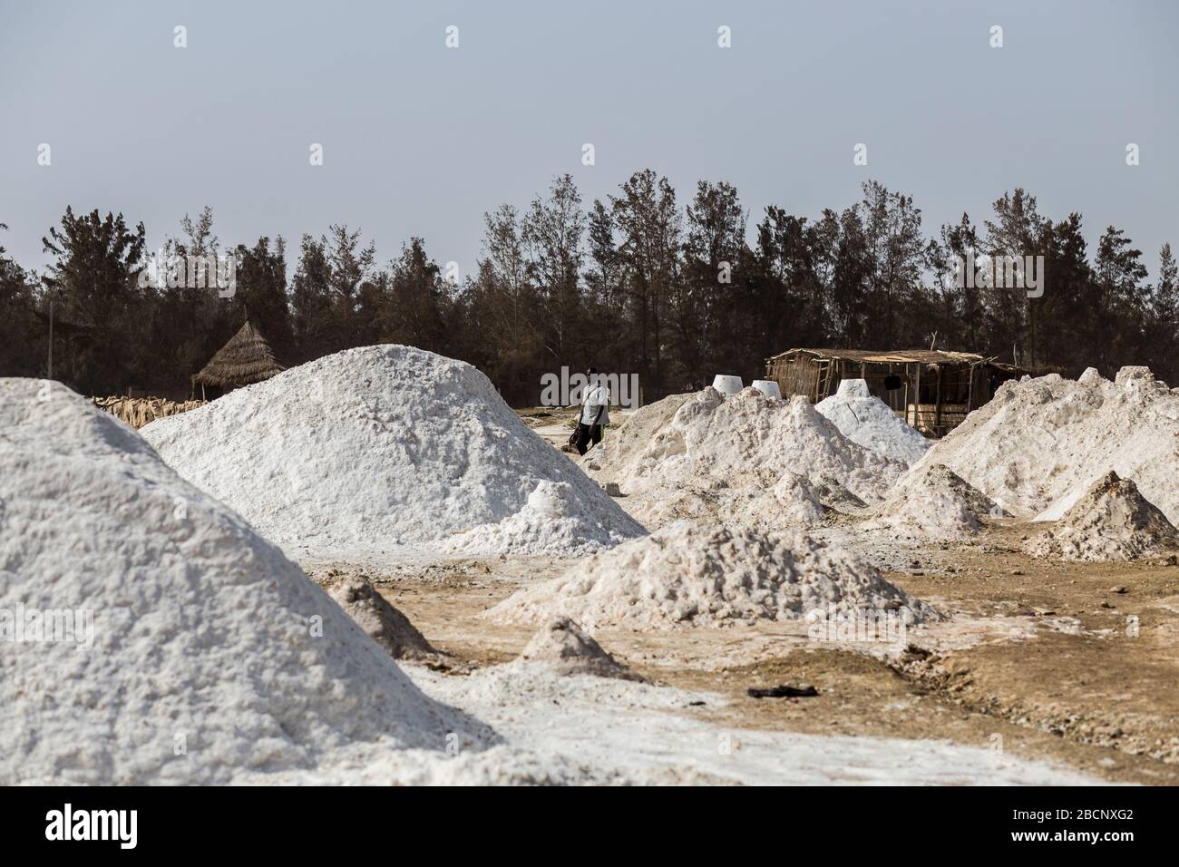 Salt production at the Lake Retba (Pink Lake) of Senegal Stock Photo ...