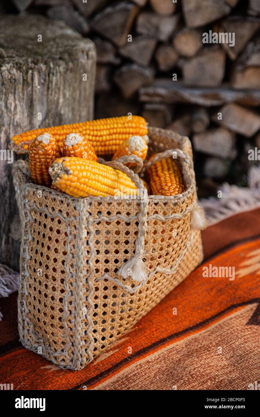 Maize straw hi-res stock photography and images - Alamy