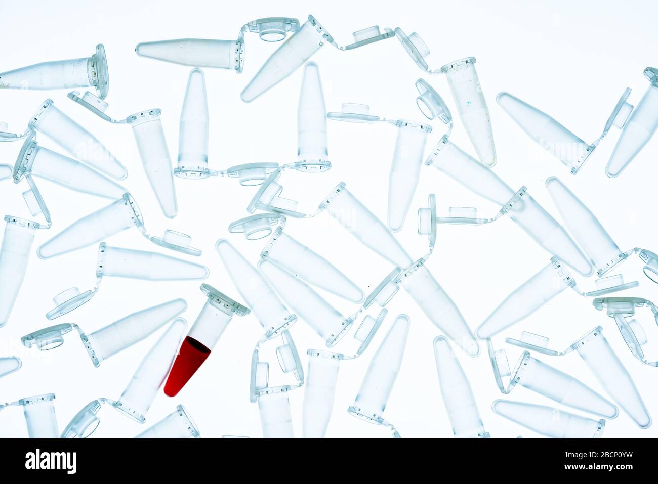 PCR microtube on a white background, PCR test tube on a white ...