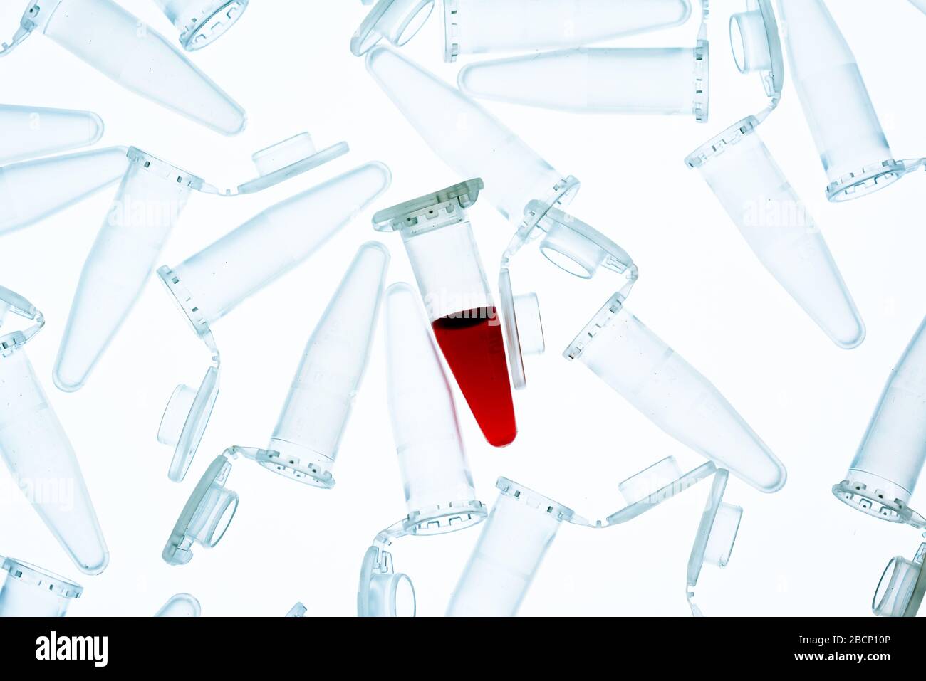 PCR microtube on a white background, PCR test tube on a white ...