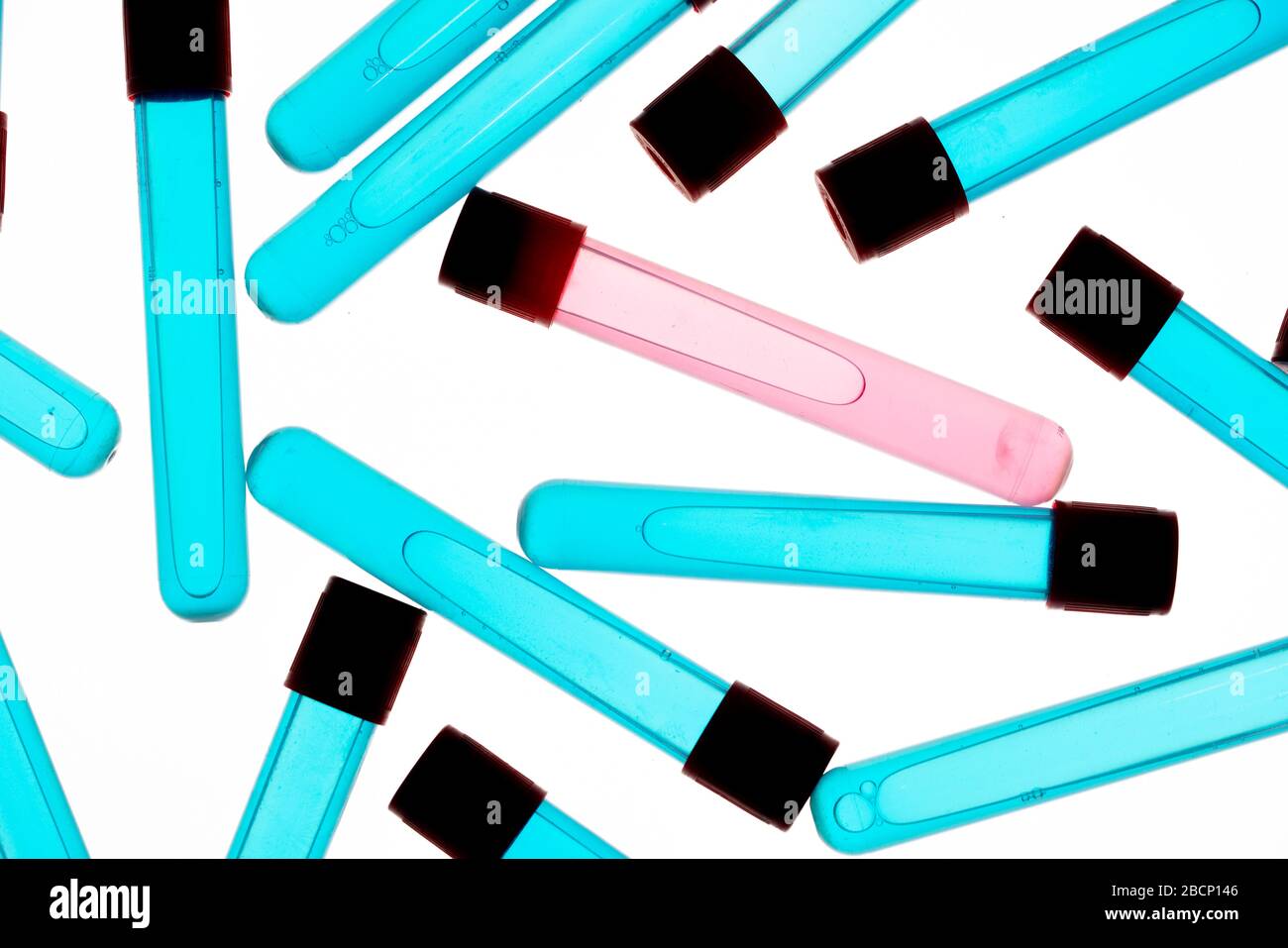 medicine test tubes for microbiological collection Flat lay, top view ...