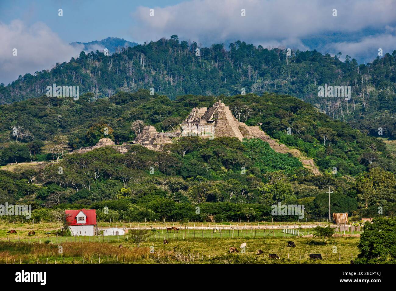 Distant view of Maya ruins at Tonina archaeological site, near Ocosingo ...