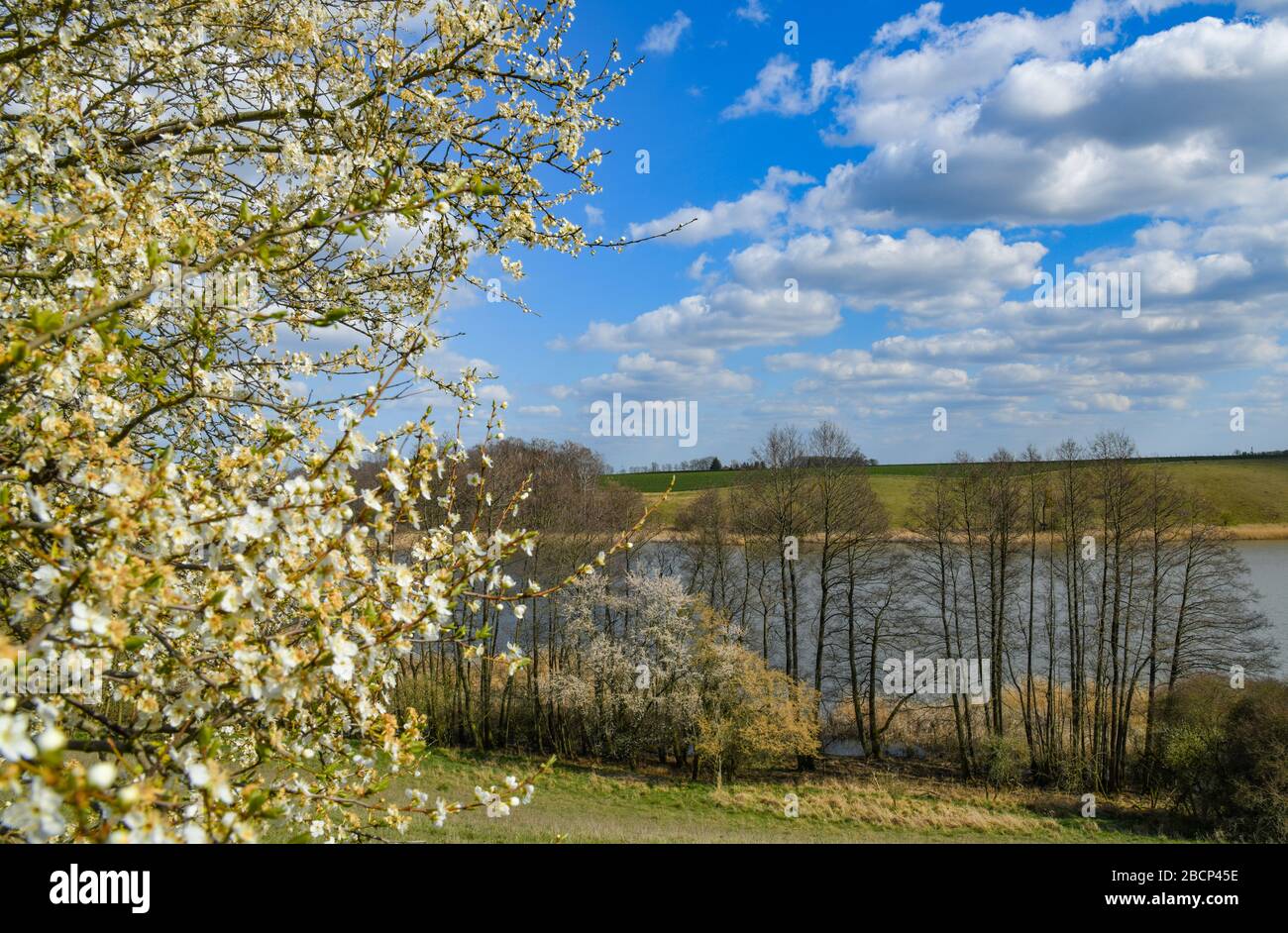 Muhlental hi-res stock photography and images - Alamy