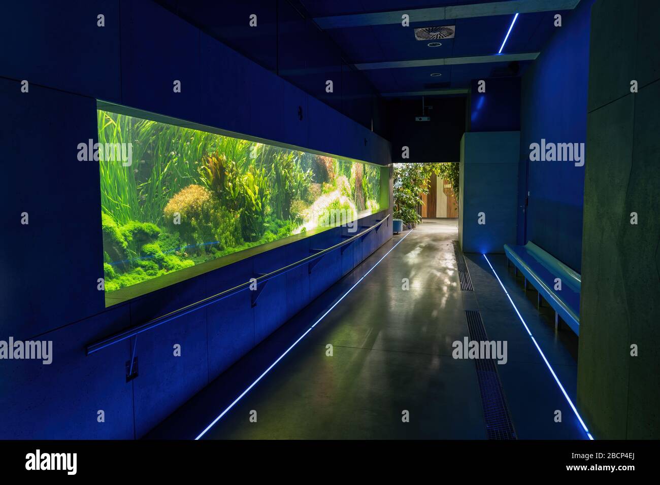 Aquarium in Warsaw Zoo Zoological Garden in Warsaw, Poland Stock Photo ...