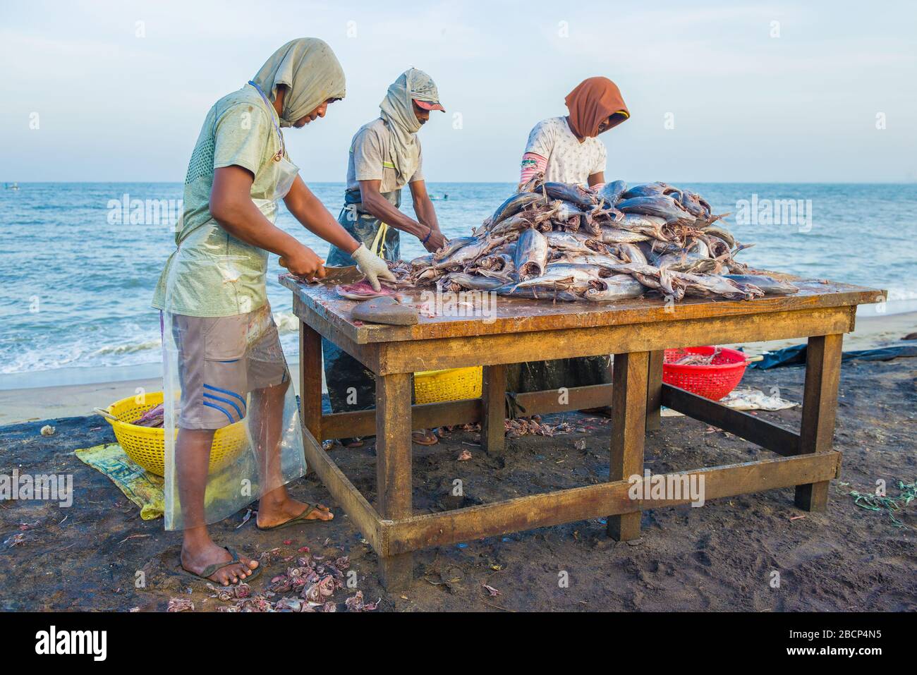 Indian fish cutting hi-res stock photography and images - Alamy
