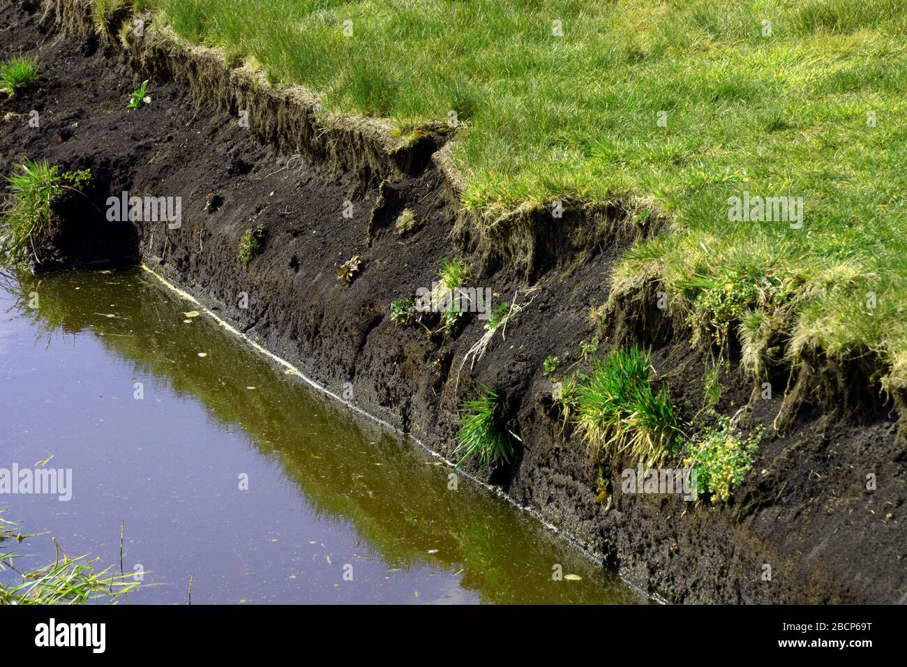 peat extraction close-up in bog landscape at spring, old abandoned peat ...